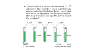 Culturing and inculation techniques used in Bacteriology.pptm.pptx
