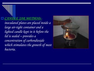 CULTURING METHODS.ppt