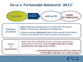 Culturi starter cu inoculare directa pentru fermentatie malolactica in ...