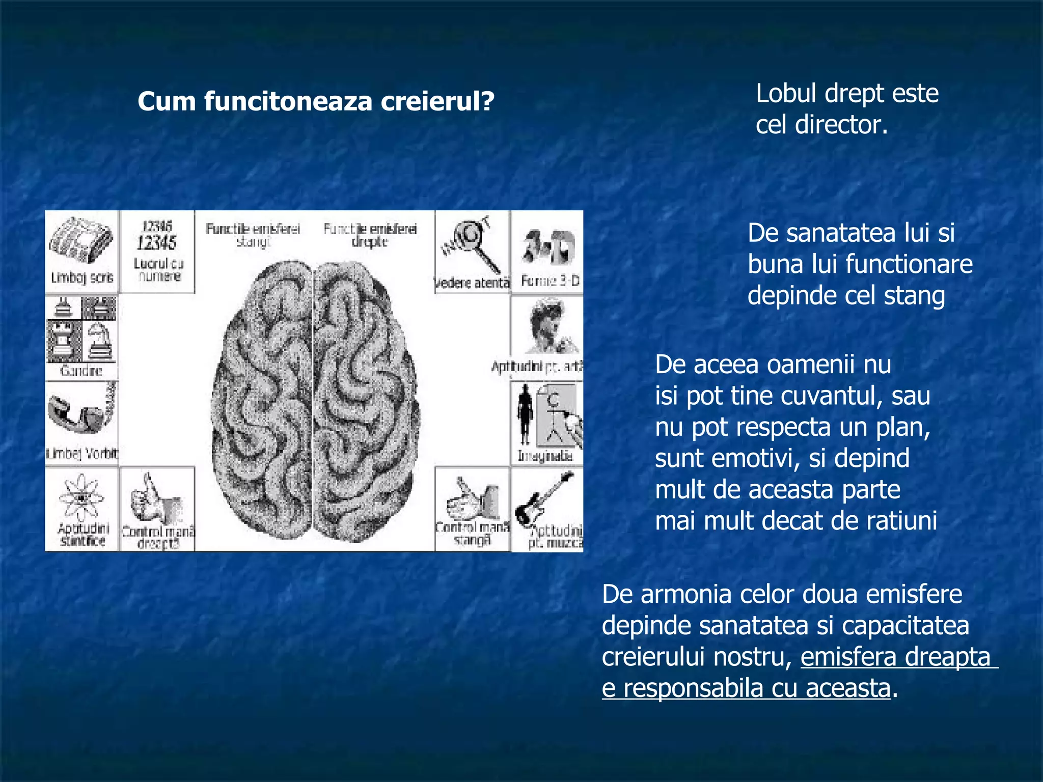 Cum Functioneaza Creierul 1 | PPT
