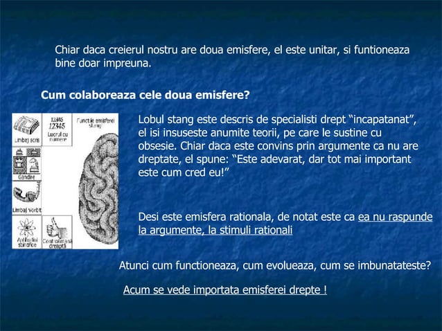 Cum Functioneaza Creierul 1 | PPT