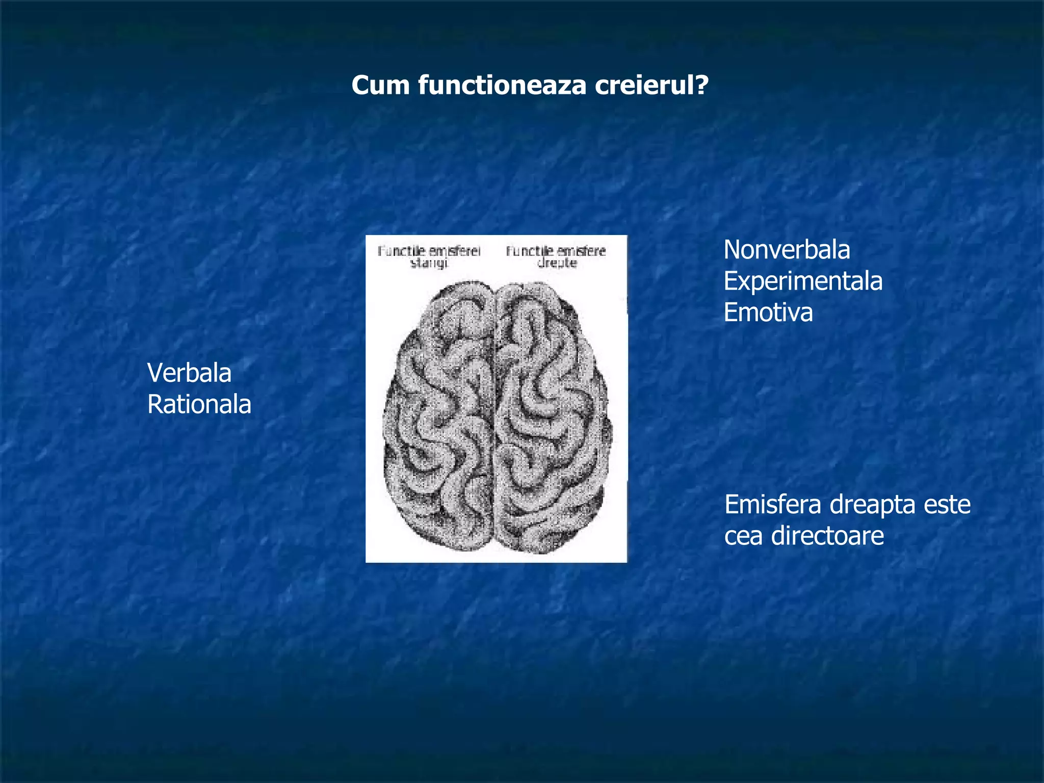 Cum Functioneaza Creierul 2 | PPT