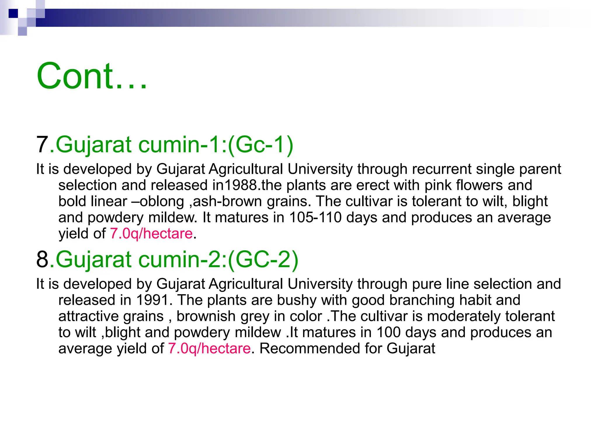 CUMIN VARIETIES by Munazah Bashir..ppt