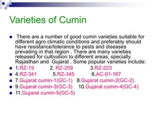 CUMIN VARIETIES by Munazah Bashir..ppt | Agriculture | Industries