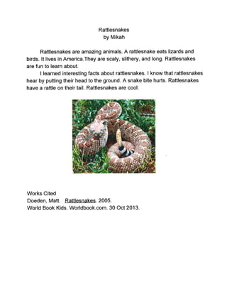 Wild Animals: A Wild Animal Animal Book by Mrs. Cummings's Class | PDF