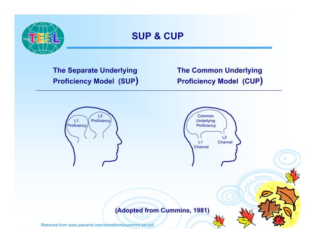 Cummins-ppt.pdf