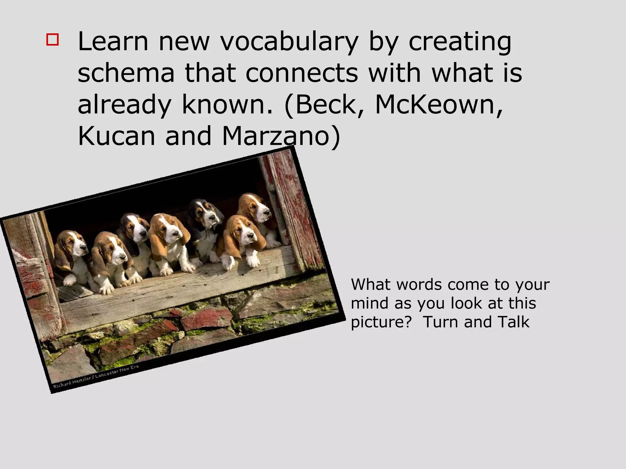 Cummins’ Interdependence Hypothesis | PPT