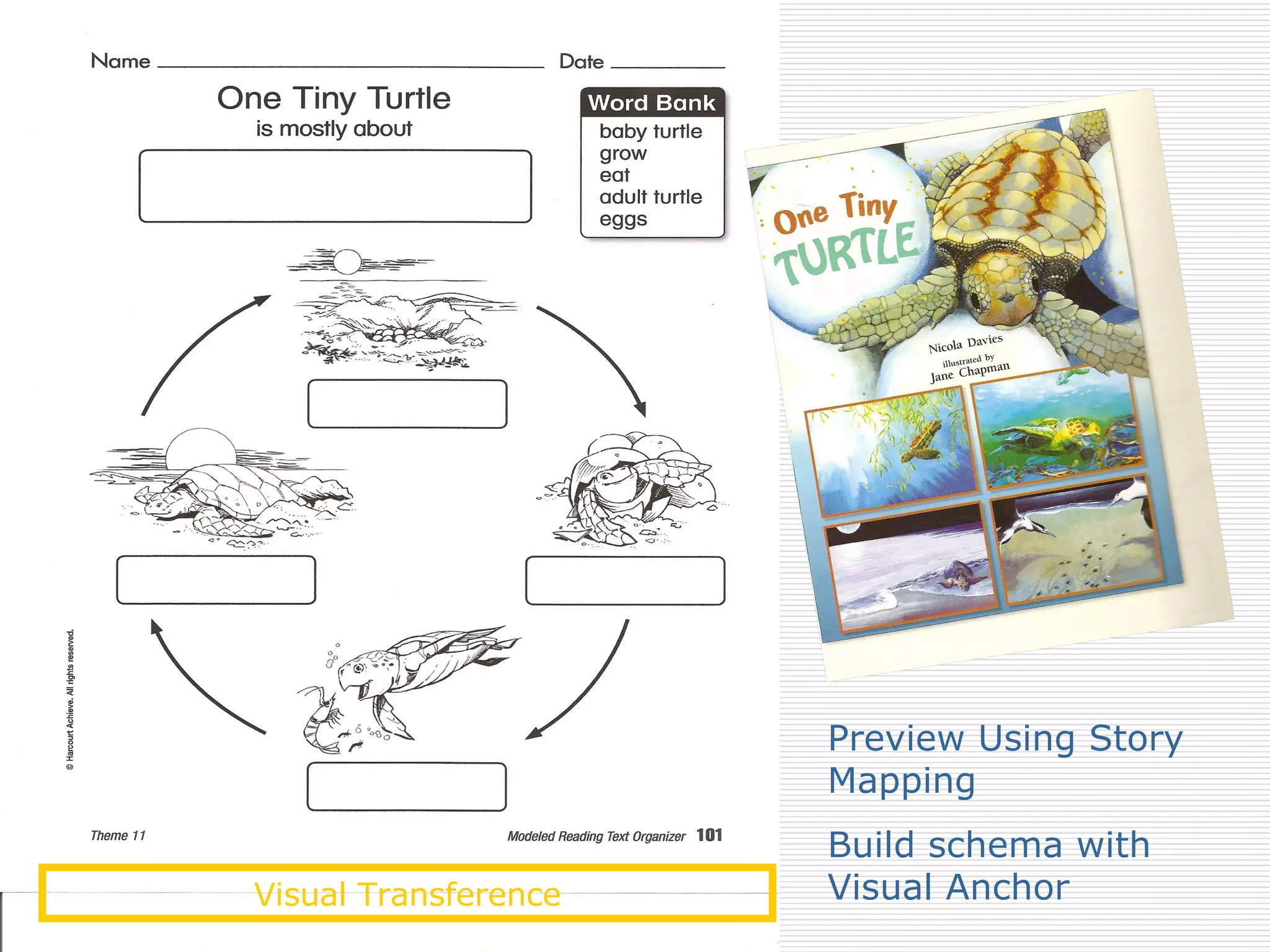 Cummins’ Interdependence Hypothesis | PPT