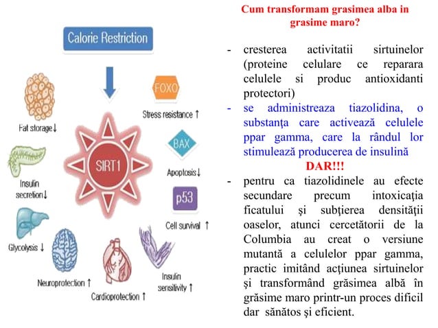 Cum ne acceleram metabolismul proiect | PPT