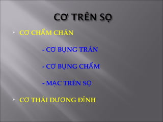 Cơ đầu mặt cổ (p1) | PPT