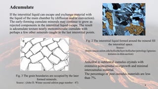 cumulates ppt by arun on Igneous petrology.pptx