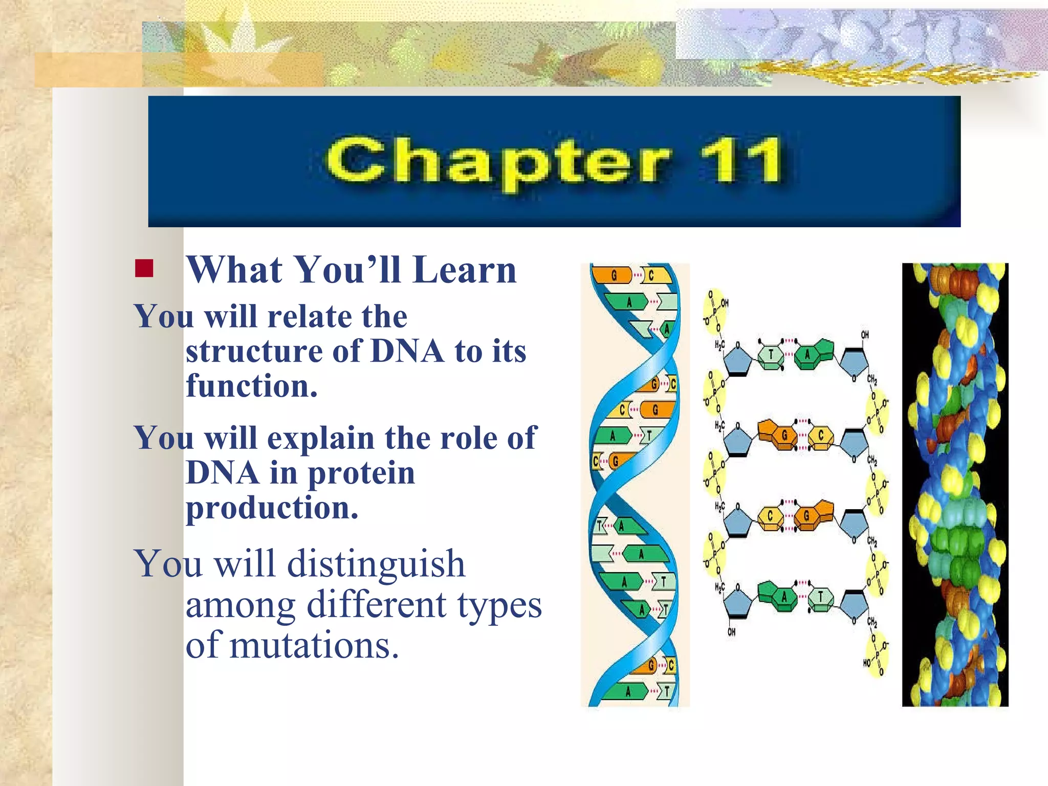 Cumulative review dna rna-protein synthesis-mutations | PPT | Genetics ...
