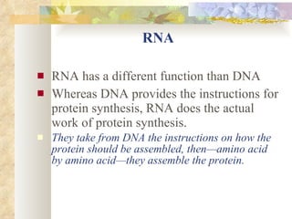 Cumulative review dna rna-protein synthesis-mutations | PPT | Genetics ...