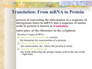 Cumulative review dna rna-protein synthesis-mutations | PPT | Genetics ...