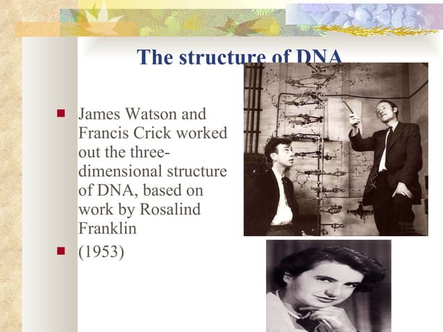 Cumulative review dna rna-protein synthesis-mutations | PPT | Genetics ...