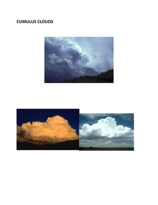 kinds of Cumulus clouds | DOCX