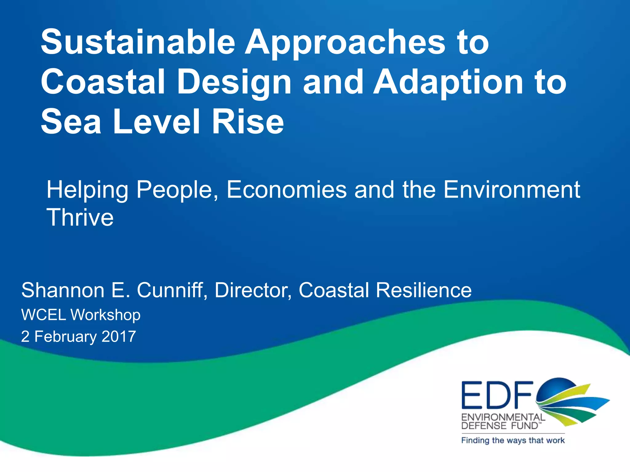 Sustainable approaches to coastal design and adaption to sea level rise ...