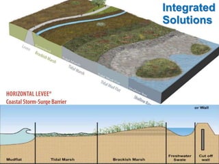 Sustainable approaches to coastal design and adaption to sea level rise ...