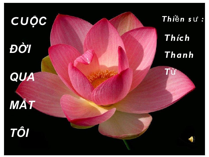 Cuoc doi qua mat toi
