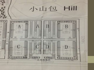C UPDATES on the Referral System of Mega DATRC.pptx | Mental Health ...
