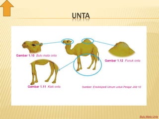 cupdf.com_ipa-kelas-6-ciri-khusus-makhluk-hidup.pptx