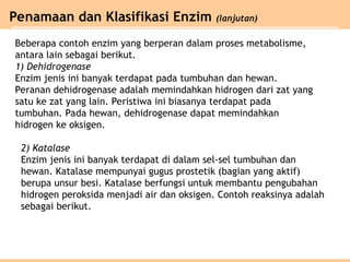 proses tubuh mengubah makanan dan minuman | PPT | Free Download