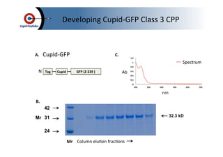 Cupid Peptides presentation wjr | PDF