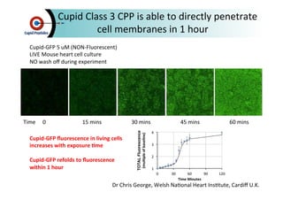 Cupid Peptides presentation wjr | PDF