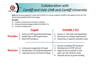 Cupid Peptides presentation wjr | PDF