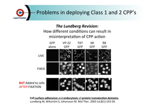 Cupid Peptides presentation wjr | PDF