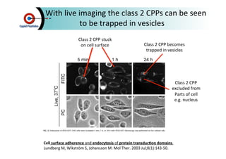 Cupid Peptides presentation wjr | PDF
