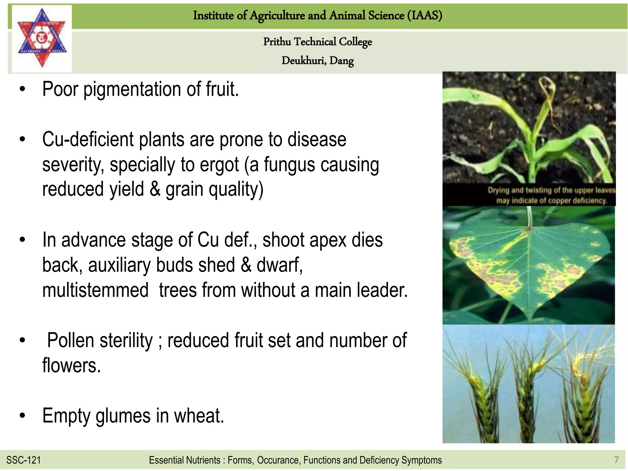 Functions and deficiency symptoms of copper and chlorine in plants | PPTX