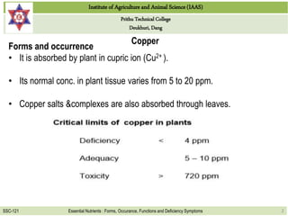Functions and deficiency symptoms of copper and chlorine in plants | PPTX