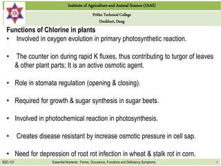 Functions and deficiency symptoms of copper and chlorine in plants | PPTX