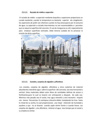 Protección y curado del concreto | PDF