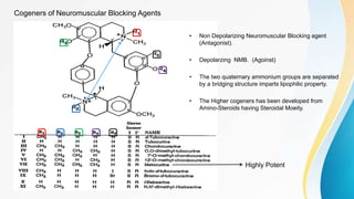 Curare Alkaloids.pptx