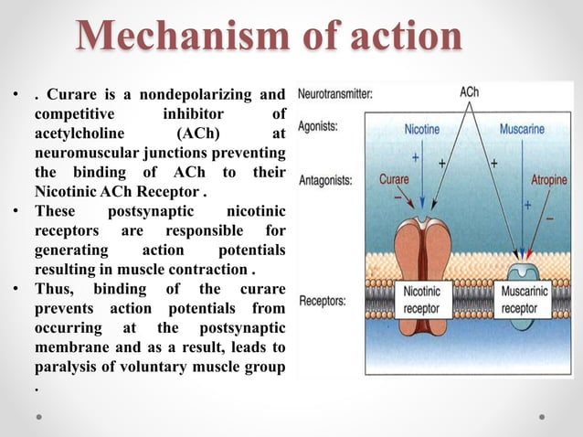 curare alkaloids.pptx | Chemistry | Science