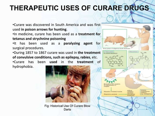 Curare alkaloids.pptx | Pharmaceutical Drugs | Medical Health