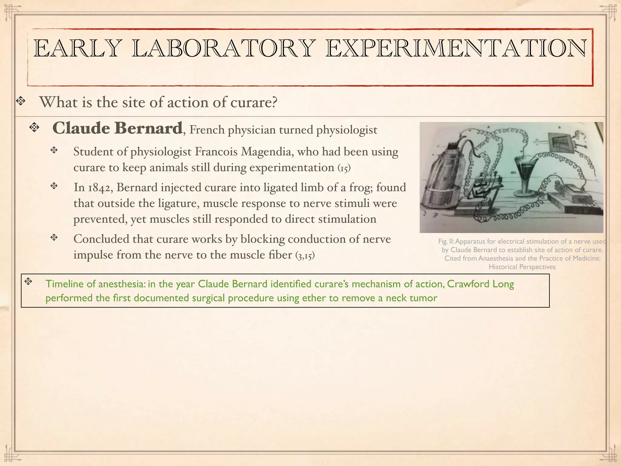 Curare Presentation | KEY