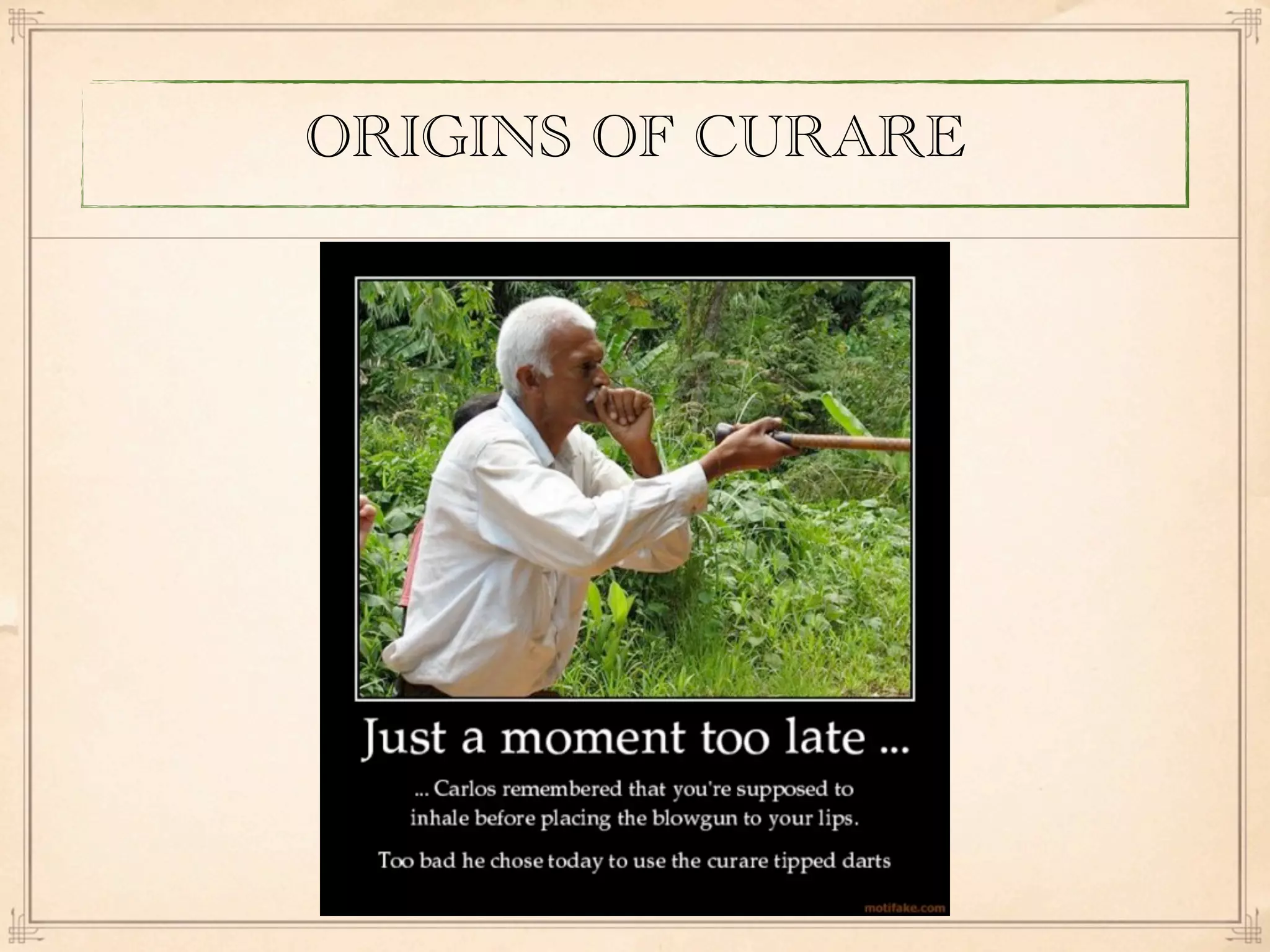 Curare Presentation | KEY