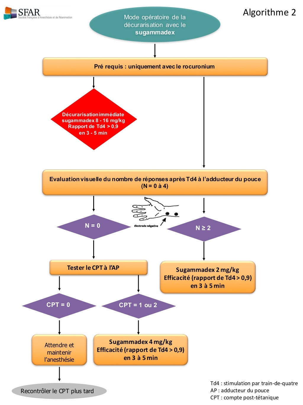 Curarisation decurarisation referentiel2 rfe curare-3