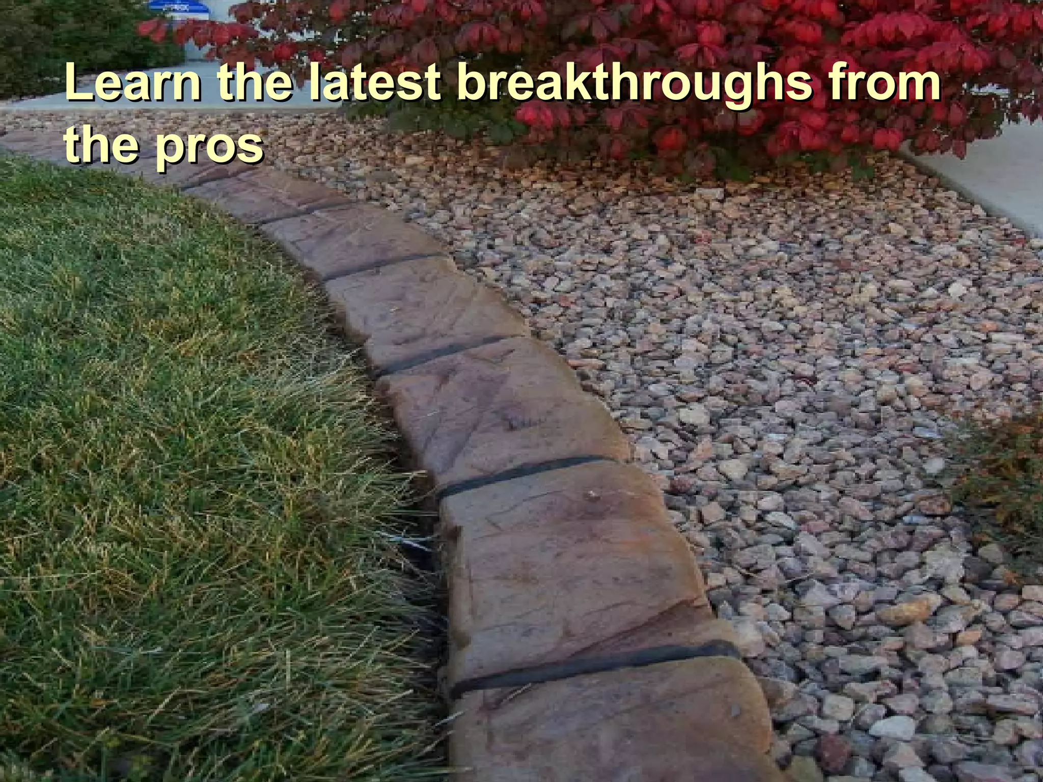 Curb It® Training – A Better Edge ™ | PPT