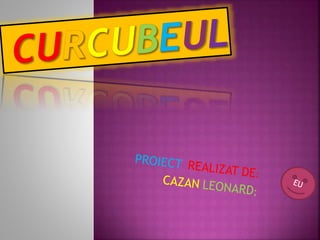 Curcubeul | PPT