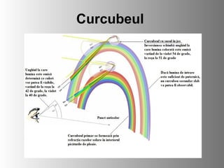 Curcubeul | PPT