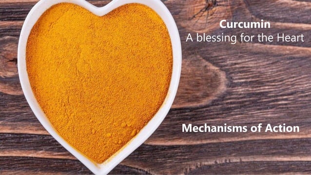 Curcuma longa - Turmeric and Its Effects on Hypertension (The Mechanism ...