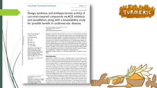 Curcuma longa - Turmeric and Its Effects on Hypertension (The Mechanism ...