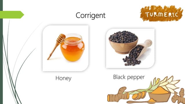 Curcuma longa - Turmeric and Its Effects on Hypertension (The Mechanism ...