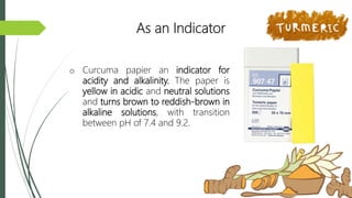 Curcuma longa - Turmeric and Its Effects on Hypertension (The Mechanism ...