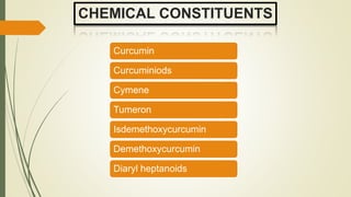 Turmeric (Curcuma longa) | PPTX