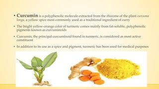 Curcumin | PPTX